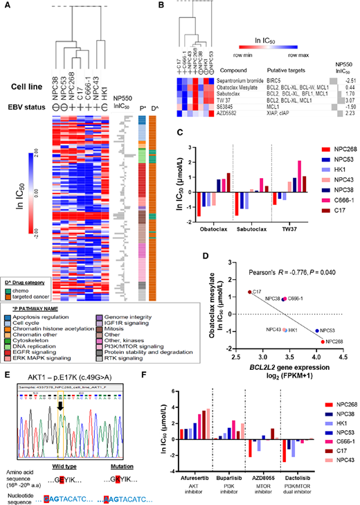 Establishment and Characterization of an Epstein-Barr Virus–positive ...