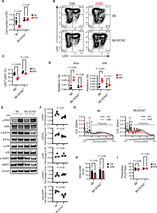 Dabrafenib Alters MDSC Differentiation and Function by Activation of ...