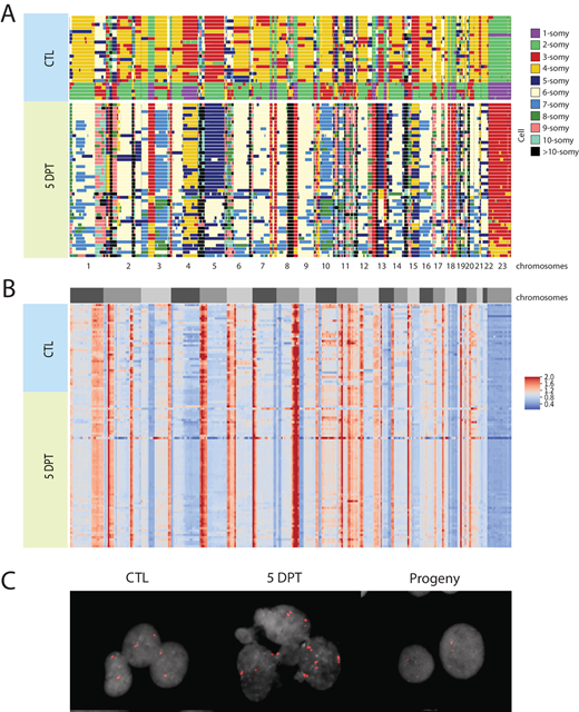 Drug-resilient Cancer Cell Phenotype Is Acquired via Polyploidization Associated with Early ...