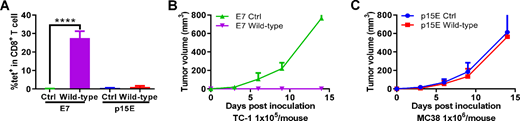 Identification of Enhanced Vaccine Mimotopes for the p15E Murine Cancer ...