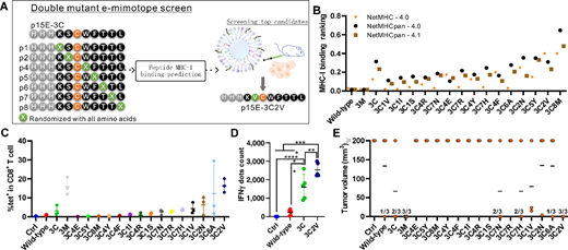 Identification of Enhanced Vaccine Mimotopes for the p15E Murine Cancer ...