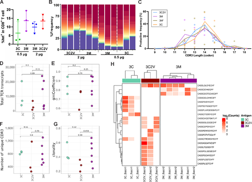 Identification of Enhanced Vaccine Mimotopes for the p15E Murine Cancer ...