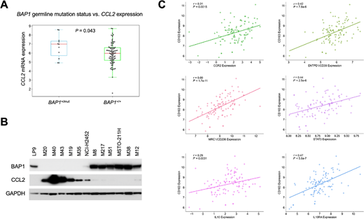 Low Exposures to Amphibole or Serpentine Asbestos in Germline Bap1 ...