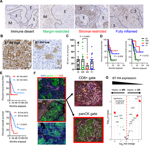 Epithelial Expressed B7-H4 Drives Differential Immunotherapy Response ...