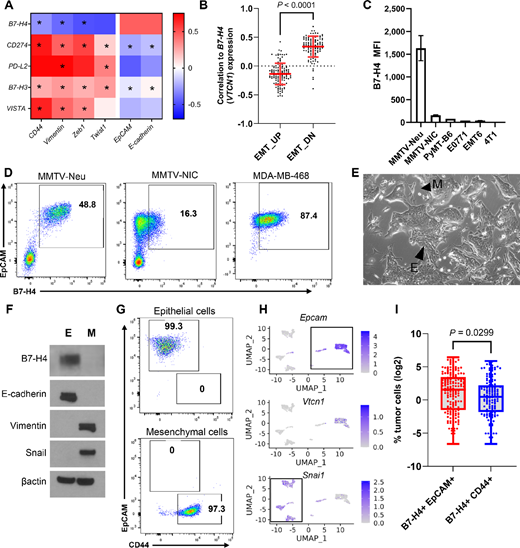 Epithelial Expressed B7-H4 Drives Differential Immunotherapy Response ...