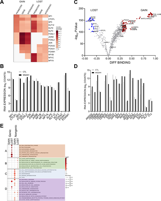 Proteasome Inhibition Reprograms Chromatin Landscape in Breast Cancer ...