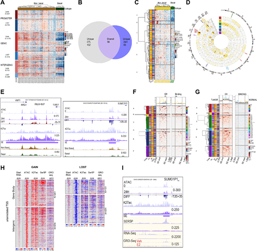 Proteasome Inhibition Reprograms Chromatin Landscape in Breast Cancer ...