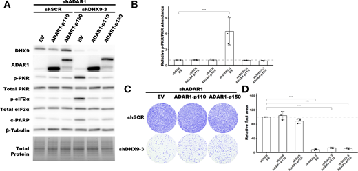 Induction of Viral Mimicry Upon Loss of DHX9 and ADAR1 in Breast Cancer ...