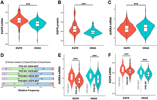 Synergy of EGFR and AURKA Inhibitors in KRAS-mutated Non–small Cell ...
