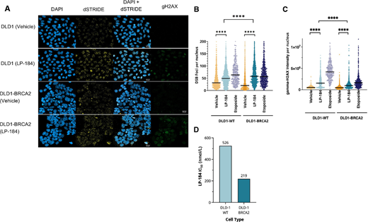LP-184, a Novel Acylfulvene Molecule, Exhibits Anticancer Activity against Diverse Solid Tumors ...