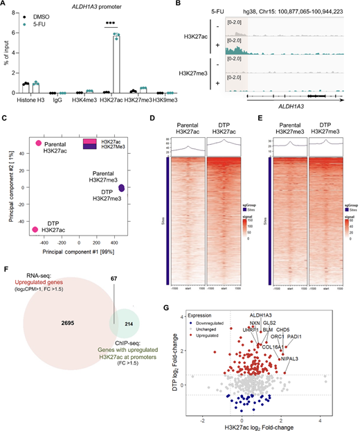 Pharmacologic Targeting of Histone H3K27 Acetylation/BRD4-dependent ...