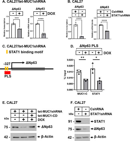 Identification of MUC1-C as a Target for Suppressing Progression of ...