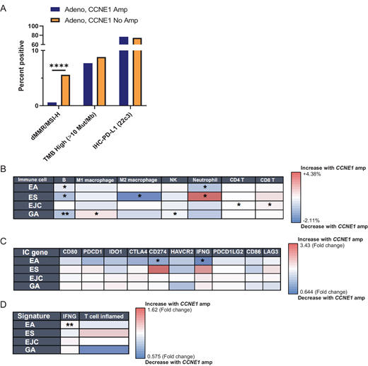 Molecular Landscape and Clinical Implication of CCNE1-amplified ...