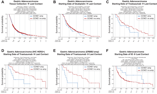 Molecular Landscape and Clinical Implication of CCNE1-amplified ...