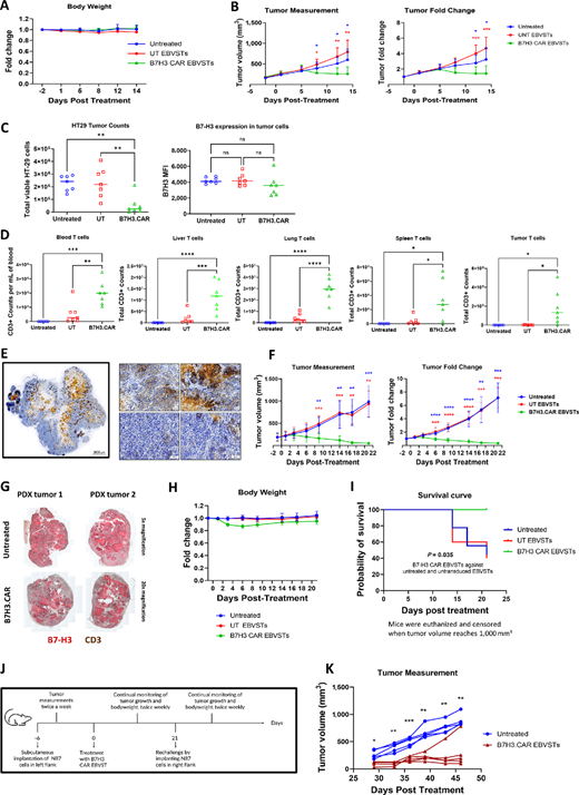 B7-H3–Targeting Chimeric Antigen Receptors Epstein-Barr Virus–specific ...