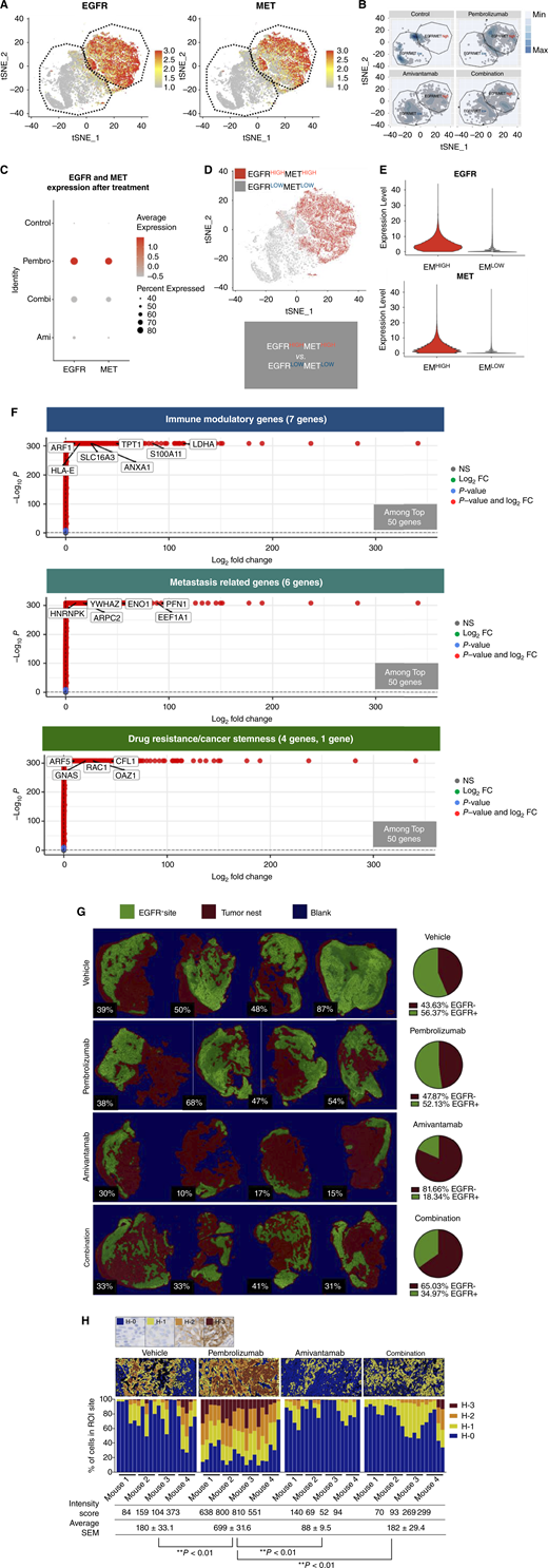 Exploration of Immune-Modulatory Effects of Amivantamab in Combination ...