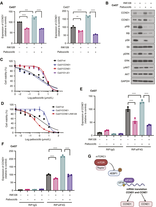 A Kinome-Wide Synthetic Lethal CRISPR/Cas9 Screen Reveals That mTOR ...