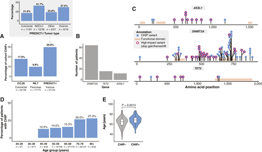 Clonal Hematopoiesis of Indeterminate Potential and its Association ...