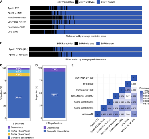 Deep Learning Predicts EGFR Mutation Status from Histology Images in ...