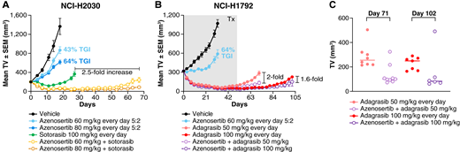 The Selective WEE1 Inhibitor Azenosertib Shows Synergistic Antitumor ...