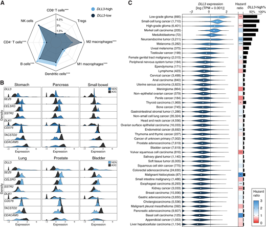 Expression Patterns of DLL3 across Neuroendocrine and Non-neuroendocrine Neoplasms Reveal Broad ...