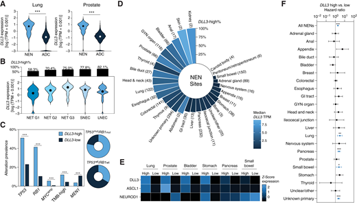 Expression Patterns of DLL3 across Neuroendocrine and Non ...