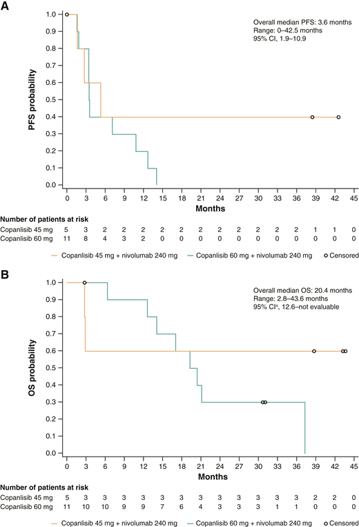 Safety and Efficacy of Copanlisib in Combination with Nivolumab: A ...