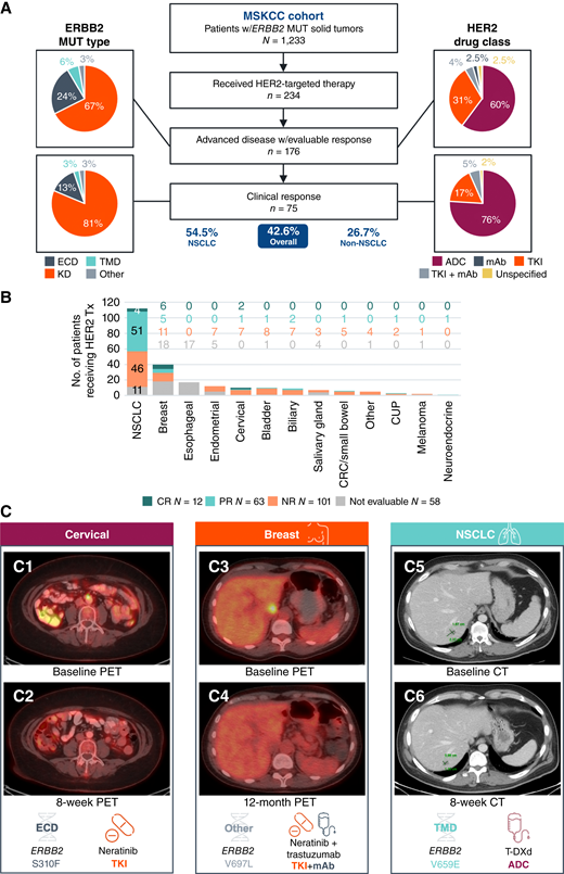 Diverse ERBB2/ERBB3 Activating Alterations and Coalterations Have ...