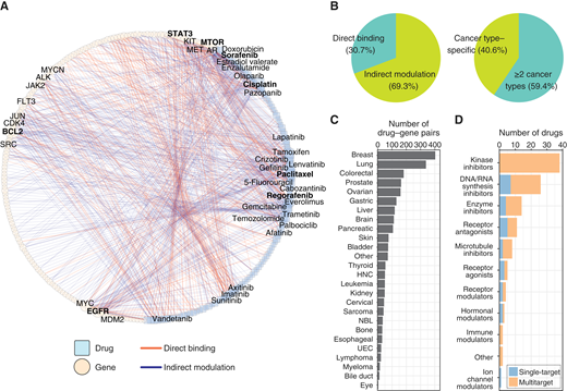 Inferring Drug–Gene Relationships in Cancer Using Literature-Augmented Large Language Models ...