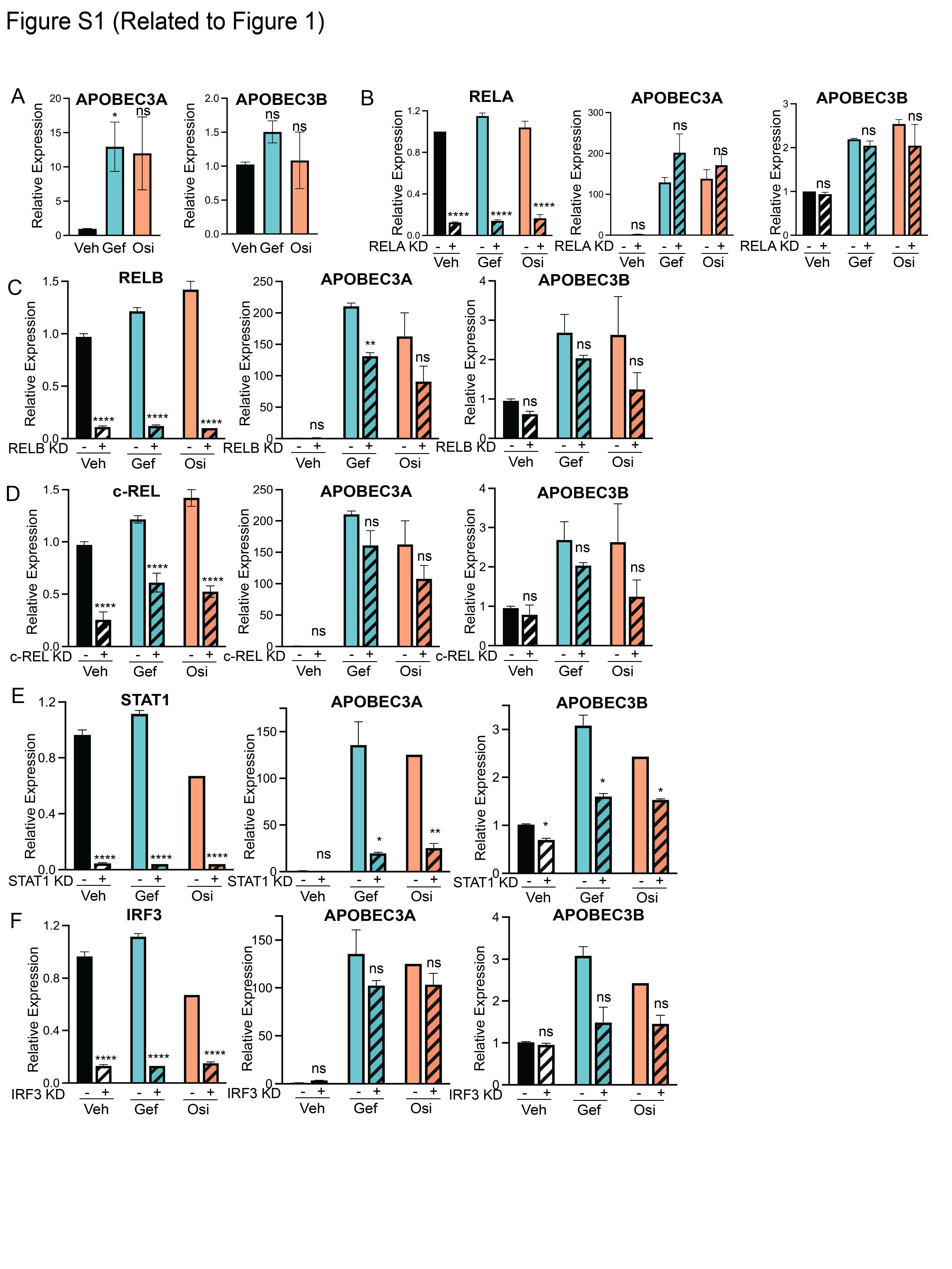 APOBEC3 Activity Promotes the Survival and Evolution of Drug-Tolerant ...