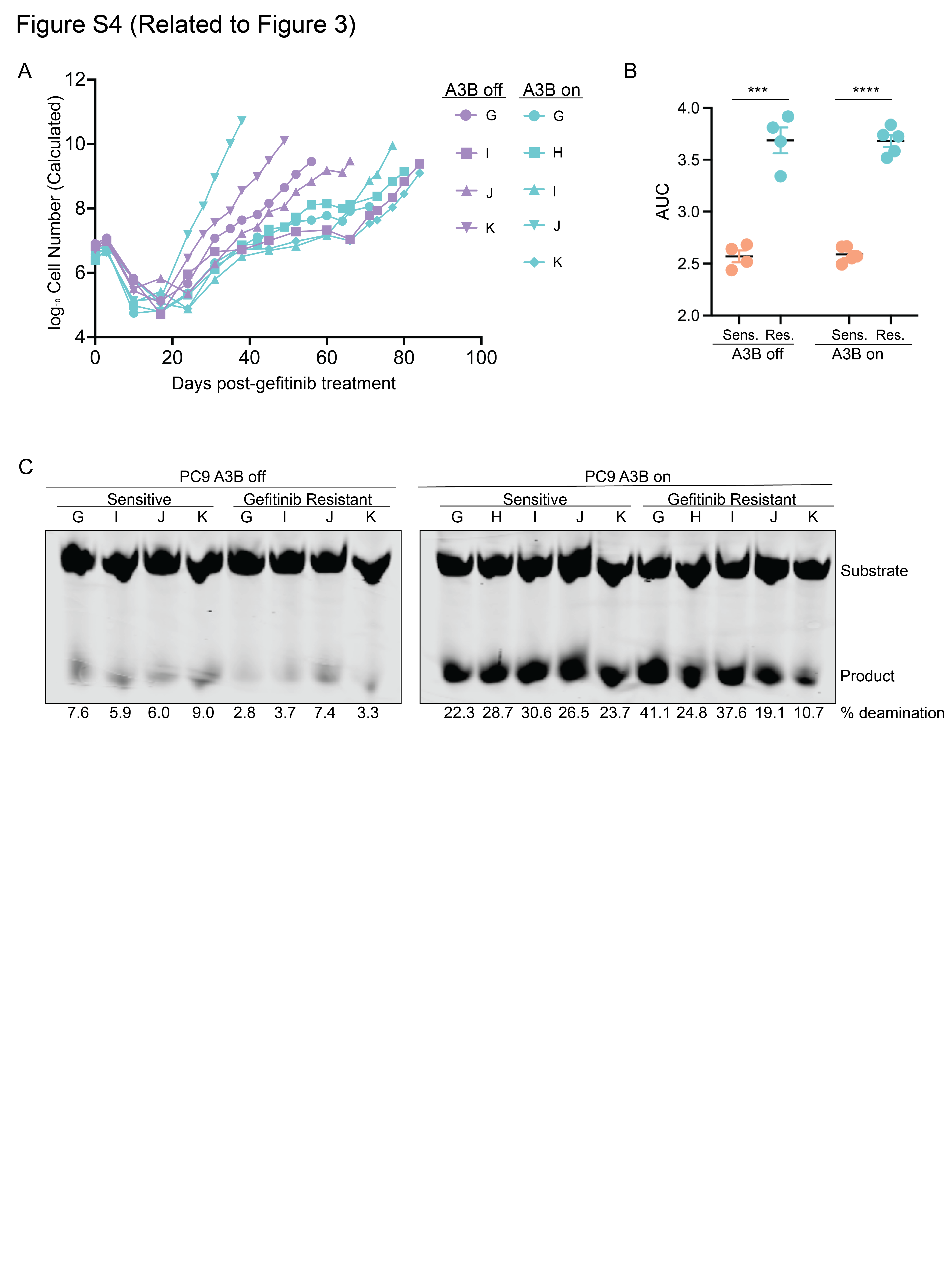 APOBEC3 Activity Promotes the Survival and Evolution of Drug-Tolerant ...