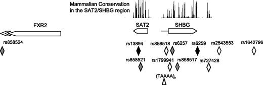 Identification of Common Variants in the SHBG Gene Affecting Sex ...