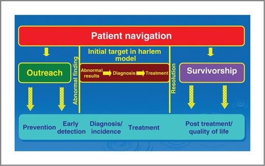 The Origin, Evolution, and Principles of Patient Navigation | Cancer ...