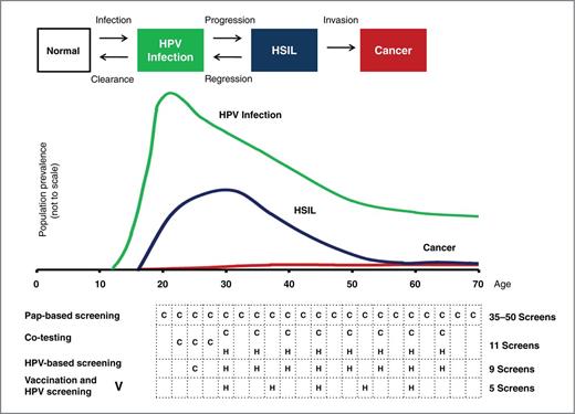 Human Papillomavirus Infection and the Multistage Carcinogenesis of ...