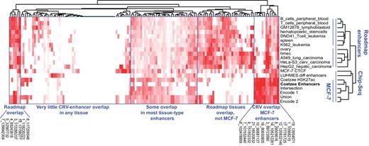 MCF-7 as a Model for Functional Analysis of Breast Cancer Risk Variants ...