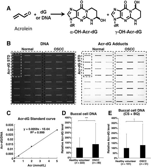 Acrolein Is Involved in the Synergistic Potential of Cigarette Smoking ...