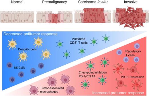 Lung Cancer and Immunity Markers | Cancer Epidemiology, Biomarkers ...