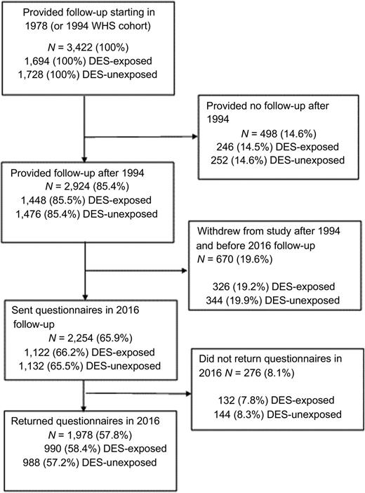Prenatal Diethylstilbestrol Exposure and Cancer Risk in Males | Cancer ...