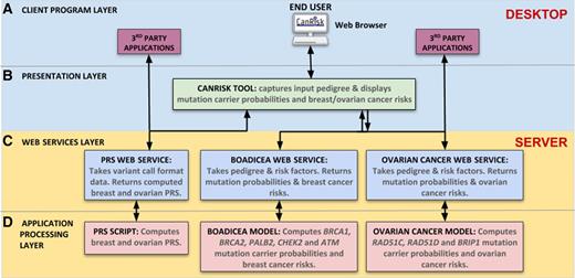 CanRisk Tool—A Web Interface for the Prediction of Breast and Ovarian ...