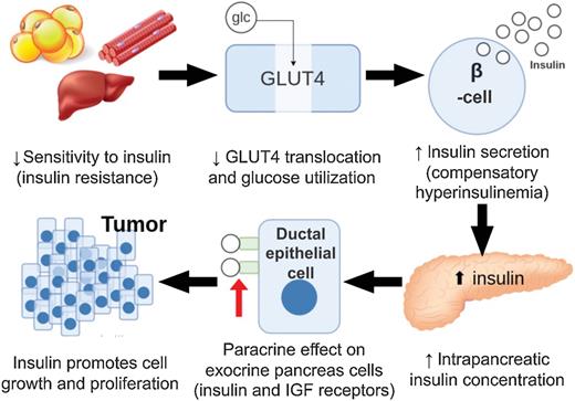 The Relationship between Diabetes Mellitus and Pancreatic Cancer ...