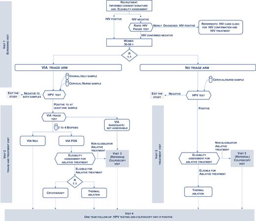 Cervical Cancer Screening and Treatment Algorithms Using Human ...