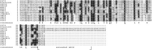 ARID Proteins | Cell Growth & Differentiation | American Association ...