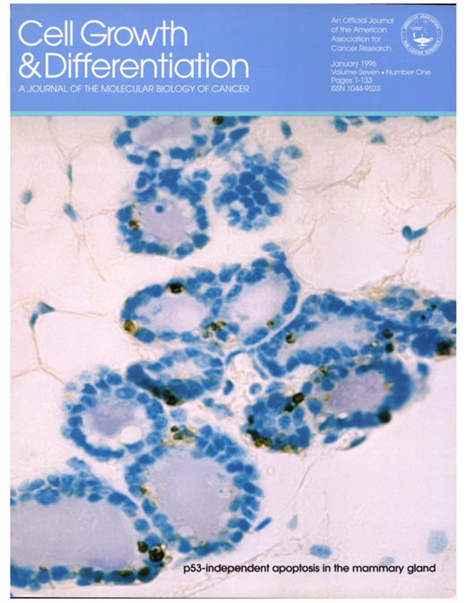 Induction of HL-60 cells to undergo apoptosis is determined by high ...