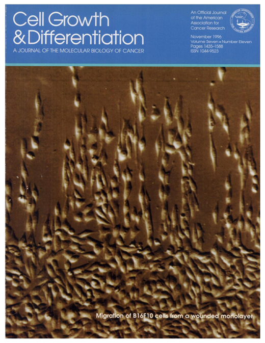 Transforming growth factor beta 1 functions in monocytic ...