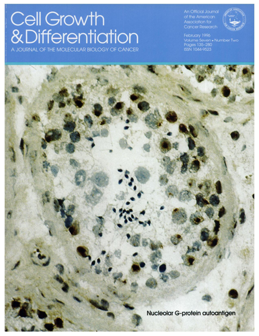 Activation of retinoid receptors RAR alpha and RXR alpha induces ...