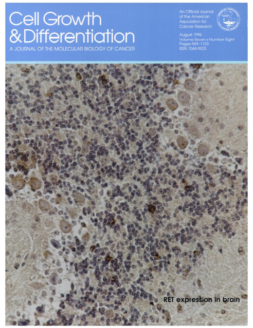 Terminally differentiated skeletal myotubes are not confined to G0 but ...