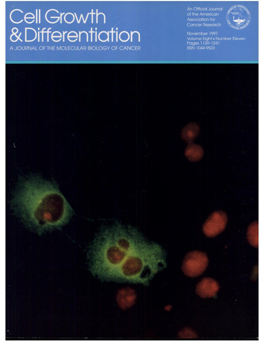 Expression of INK4 inhibitors of cyclin D-dependent kinases during ...