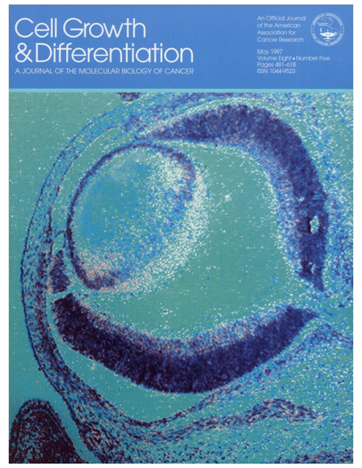 C-Jun and JunD suppress maturation of chondrocytes | Cell Growth ...