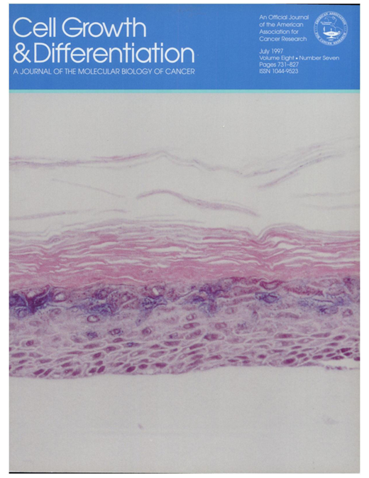 Mutational analyses of differentiation-dependent human papillomavirus ...