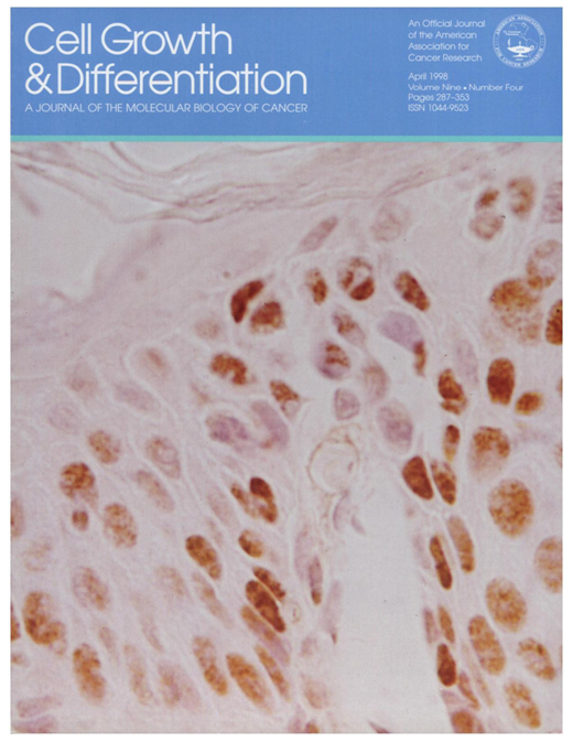 Inhibition of angiogenic differentiation of human umbilical vein ...